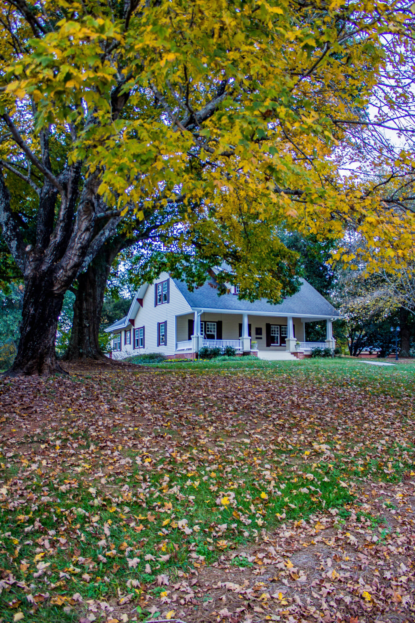 Admissions & Aid - Reinhardt University